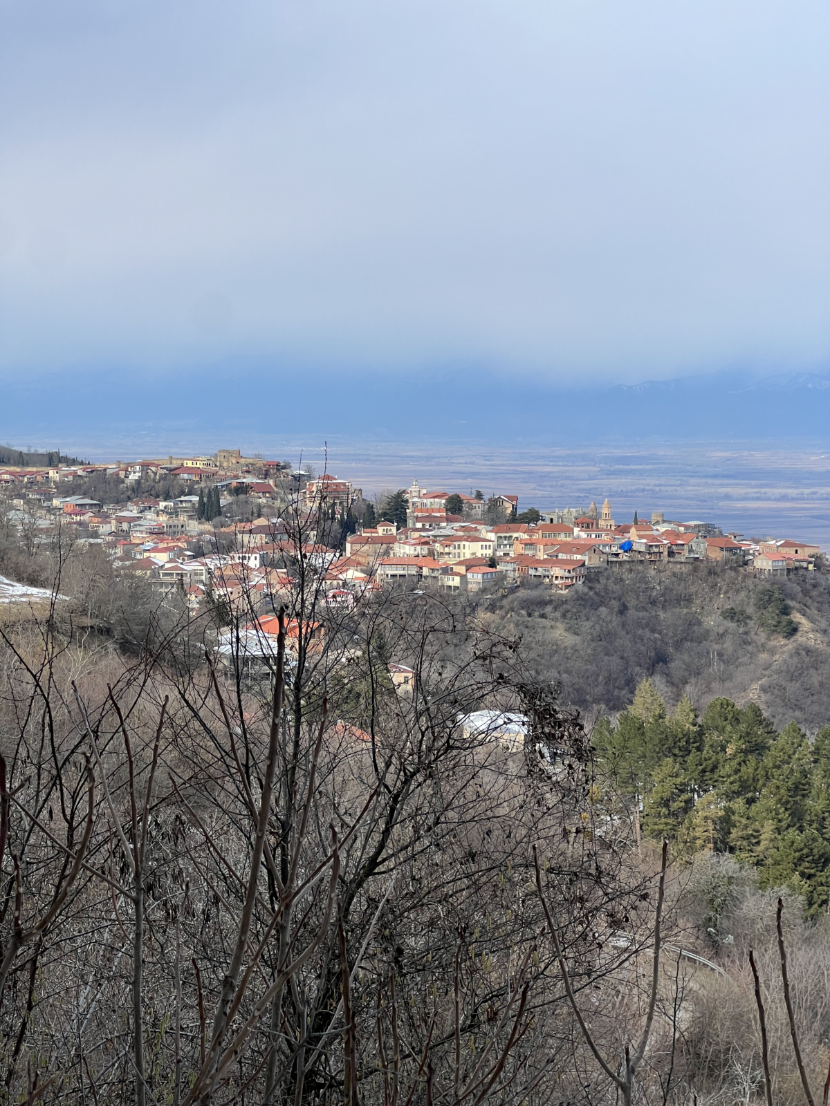 Wine Tasting in the Beautiful Georgian Countryside - The Traveling Sopha